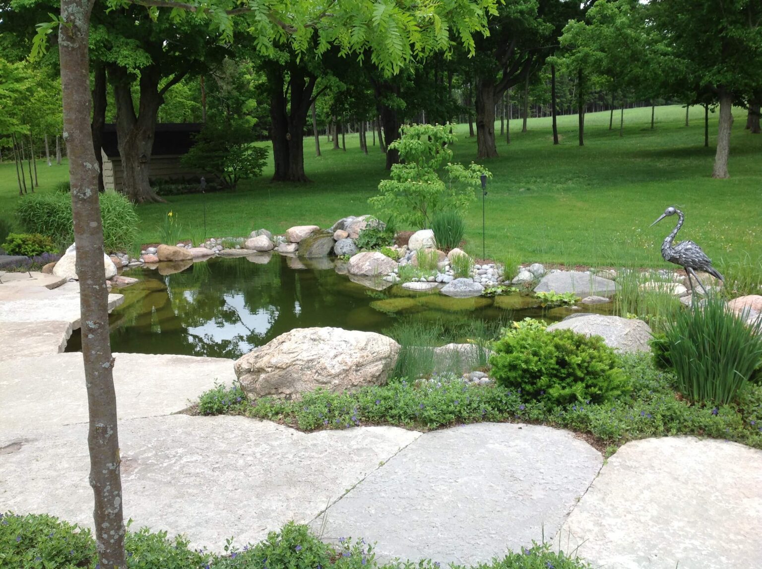 Landscape Redesign | Wiggans Landscaping Ltd.